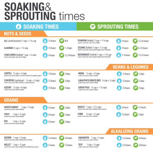 Soaking & Sprouting Guide: How to Soak and Sprout Grains, Nuts, Seeds ...