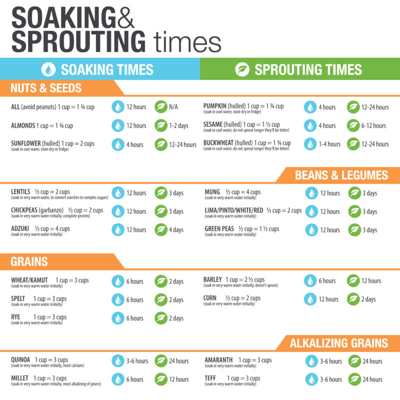 Soaking & Sprouting Guide: How to Soak and Sprout Grains, Nuts, Seeds ...
