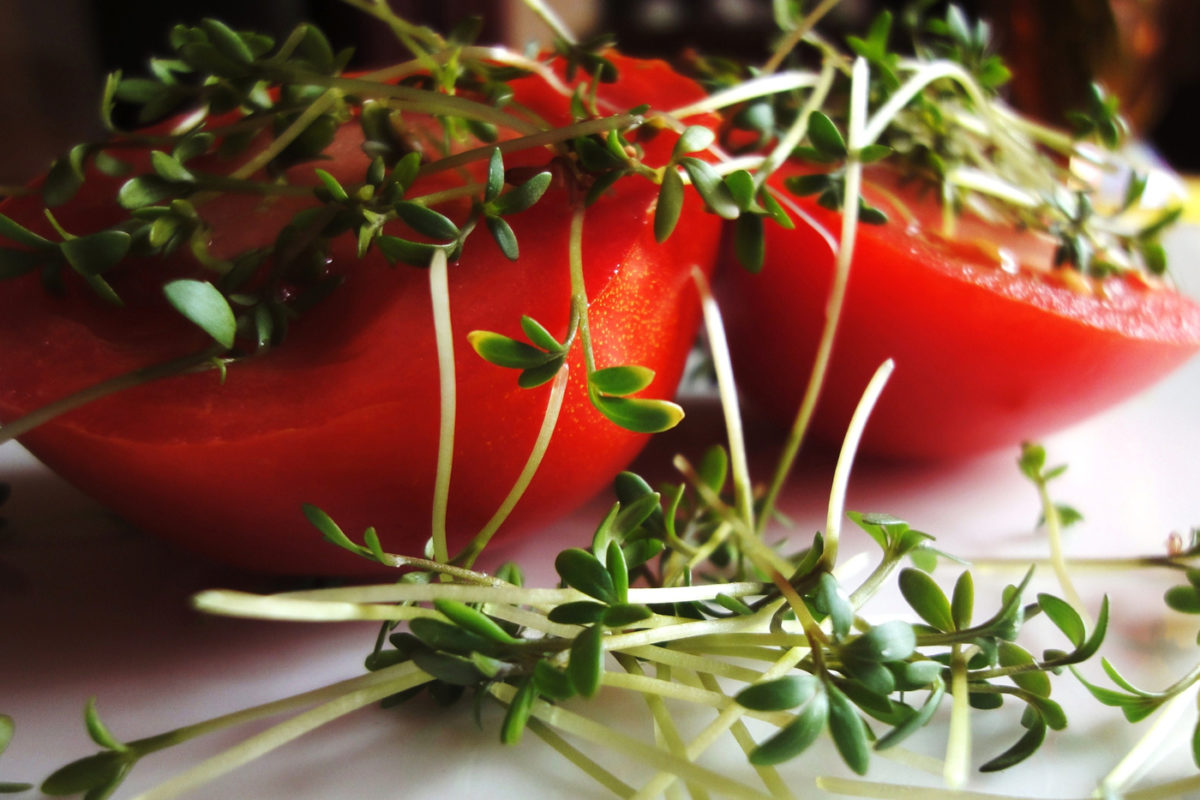 Soaking & Sprouting Guide: How to Soak and Sprout Grains, Nuts, Seeds ...